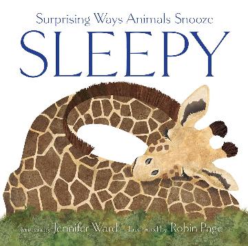 Sleepy Surprising Ways Animals Snooze | Not Just Books