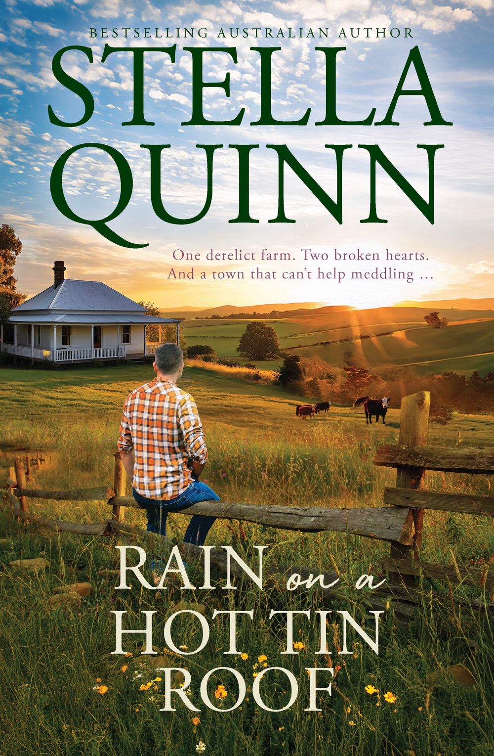 Rain on a Hot Tin Roof | Not Just Books